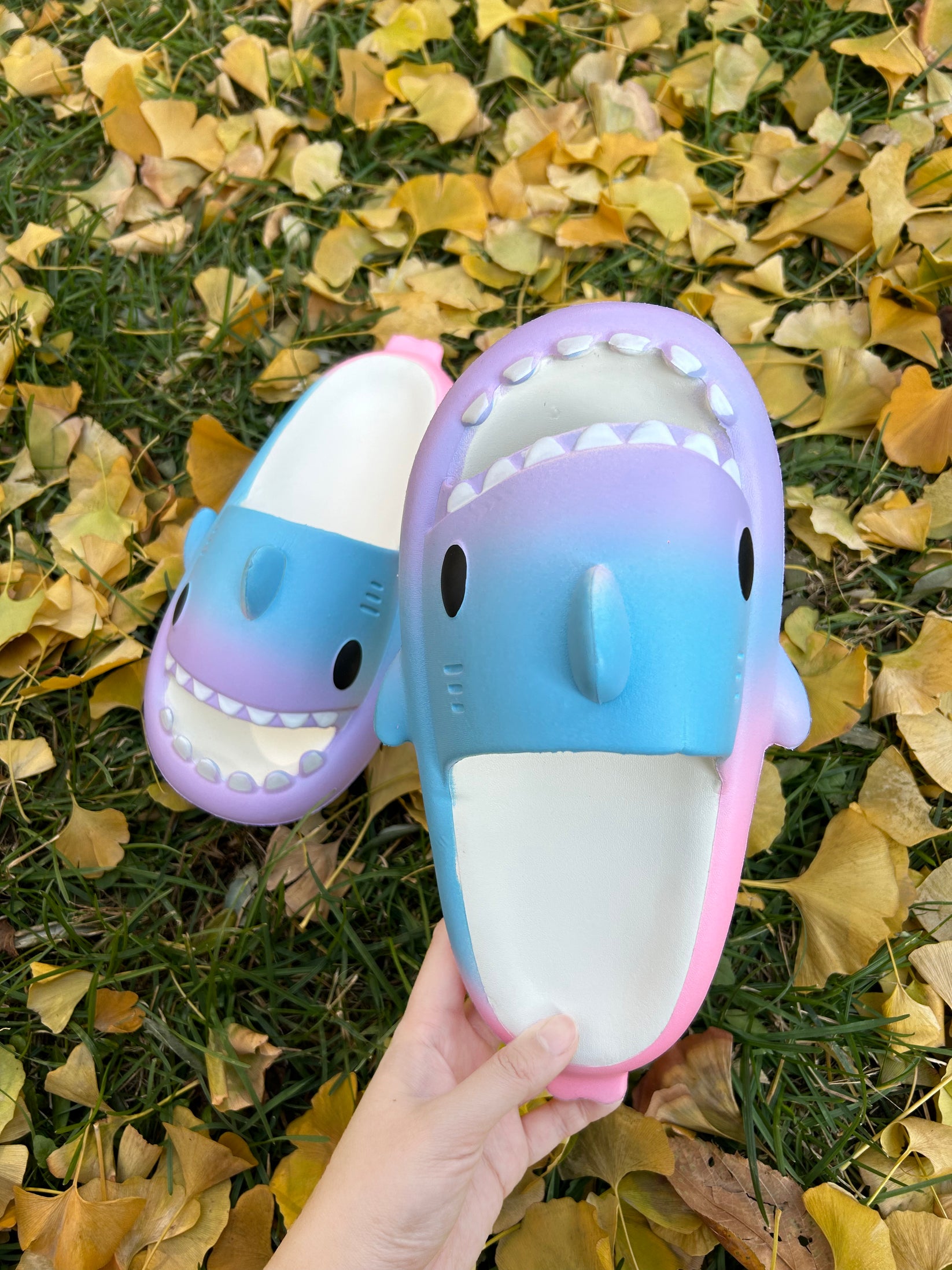 Original Three Color Gradient Shark Slippers | ZAKAPOP – Moongloar