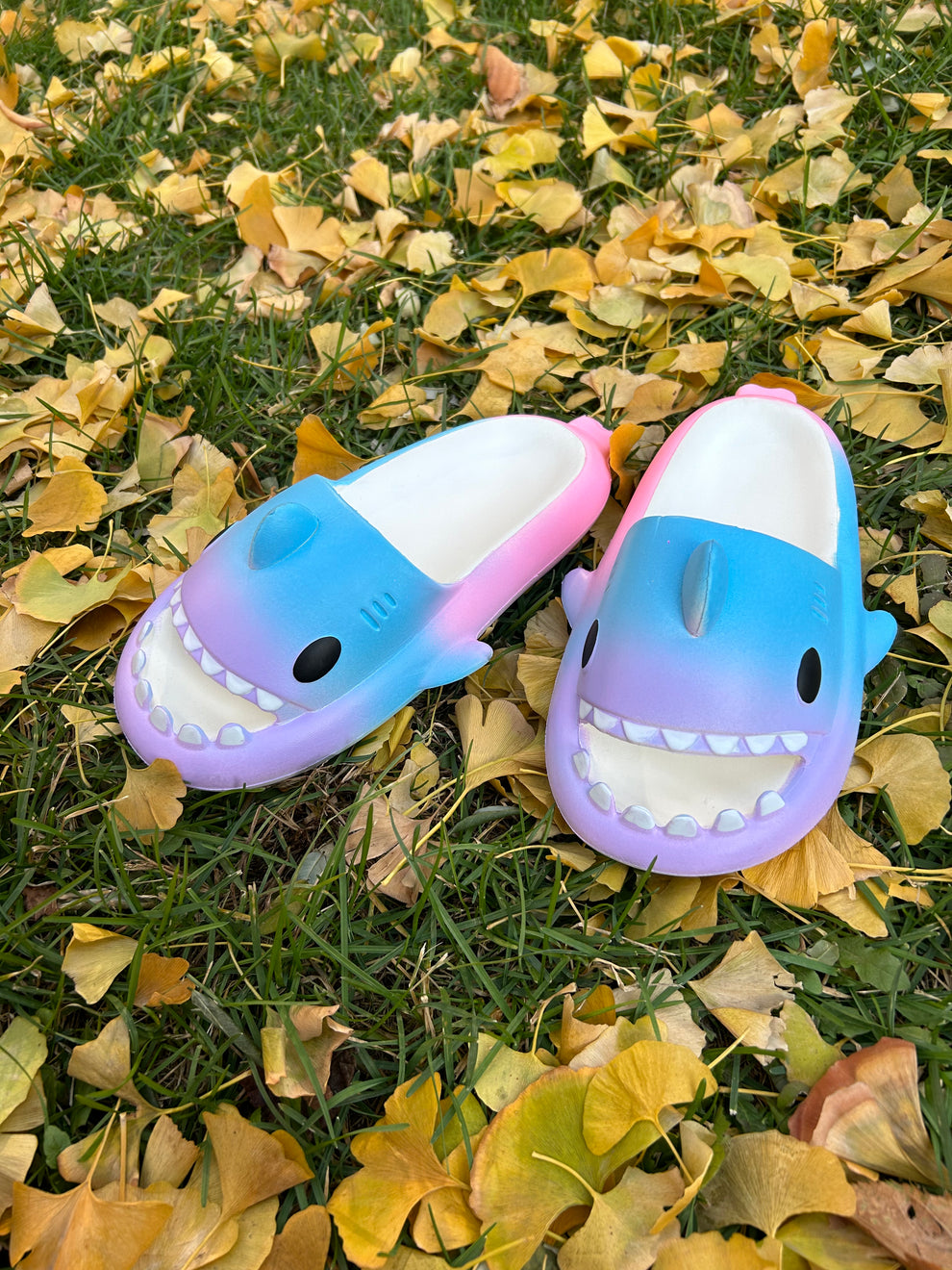 Original Three Color Gradient Shark Slippers | ZAKAPOP – Moongloar